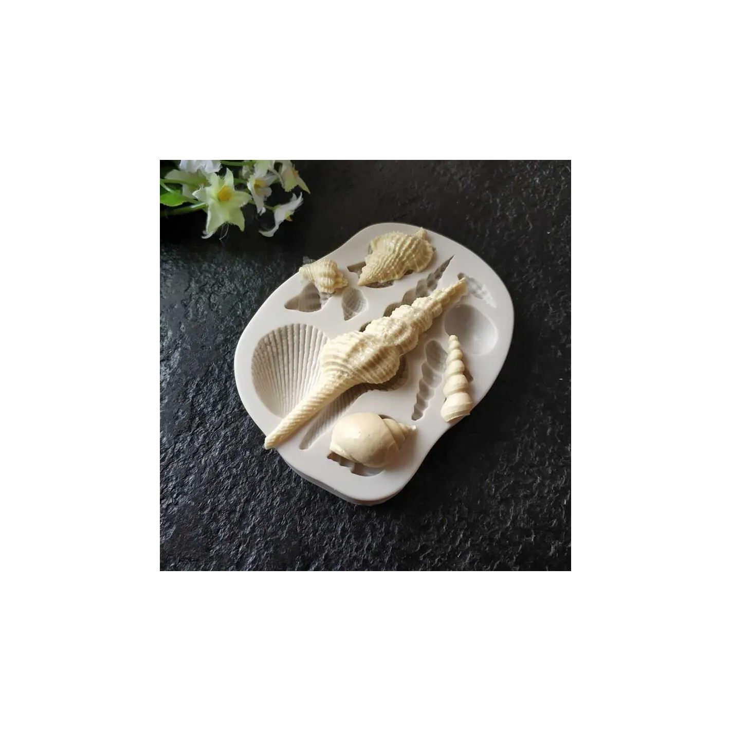 Molde de Silicon Figuras de Conchas del Mar TIPS 0760845