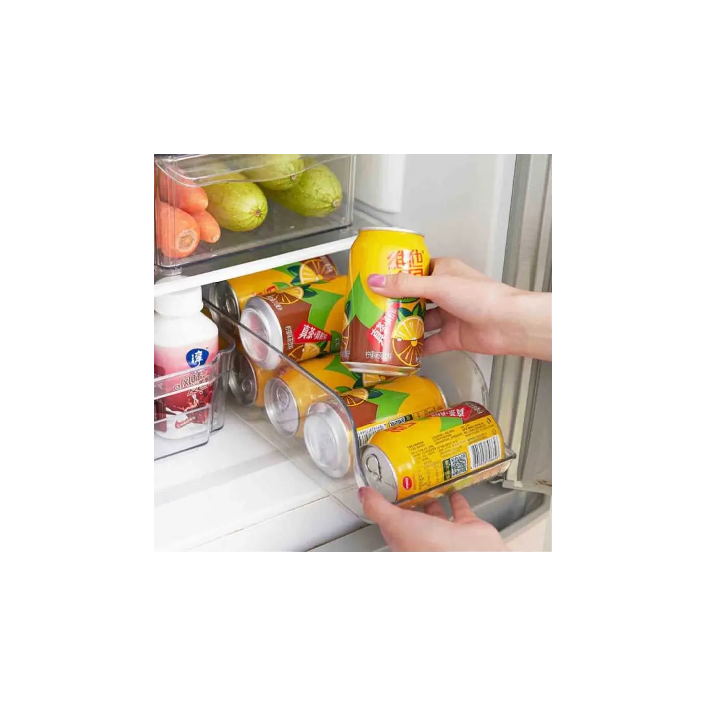 Contendor-Organizador Plastico 13 x 5.5 x 4 Pulgadas TIPS C-178-02